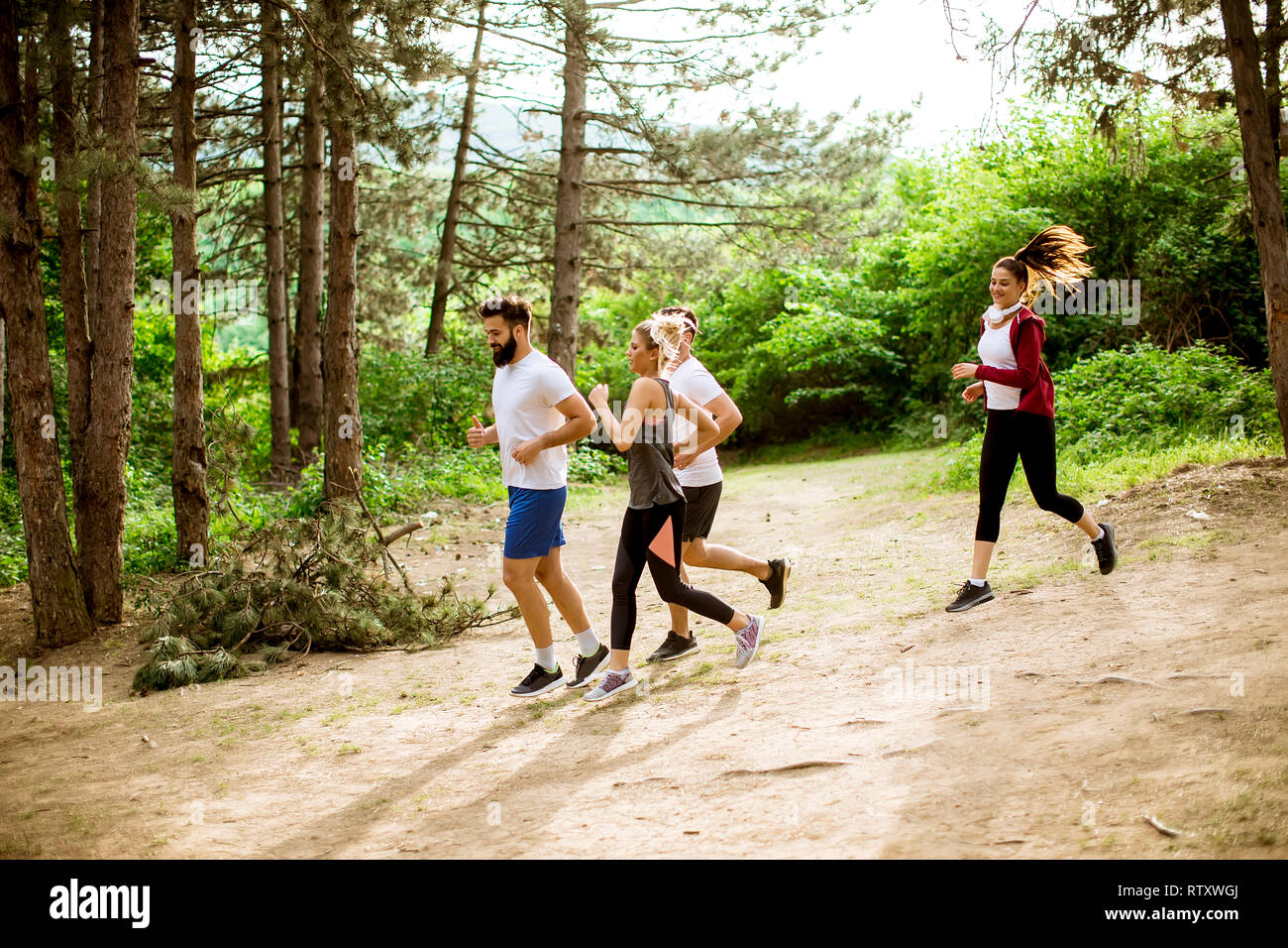 Young people run a marathon through the forest Stock Photo - Alamy