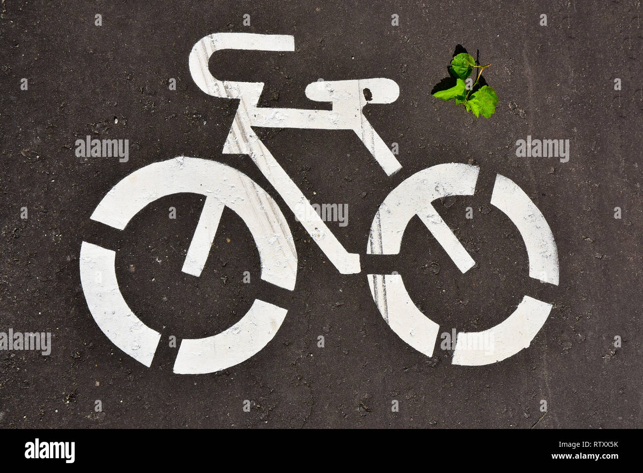 White bicycle road sign on an asphalt road Stock Photo - Alamy