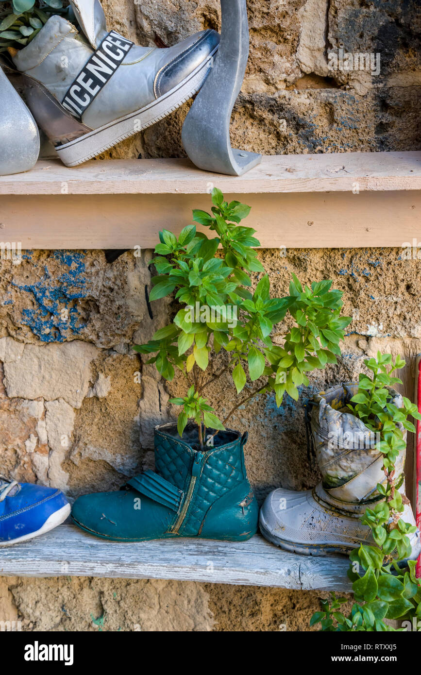 Shoe flower garden hi-res stock photography and images - Alamy