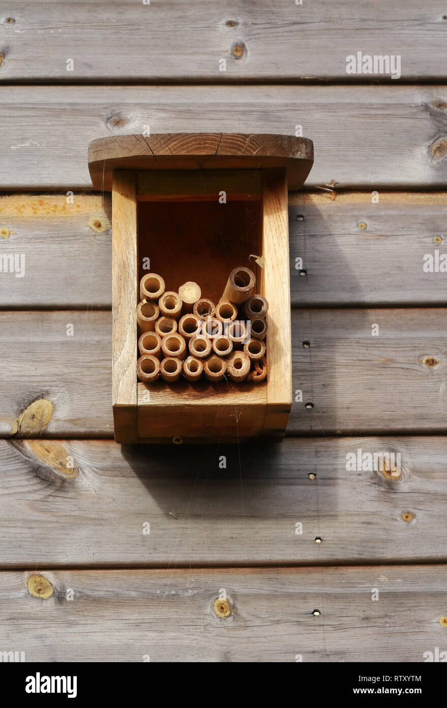 A bug house on a wooden wall Stock Photo - Alamy