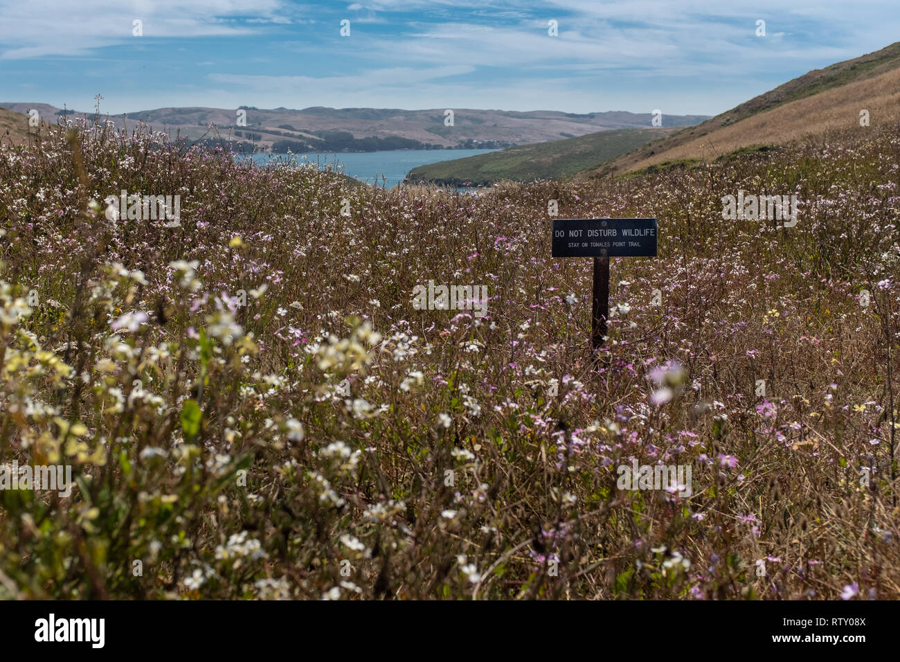 A warning sign in the middle of meadow of wildflowers leading down to ...