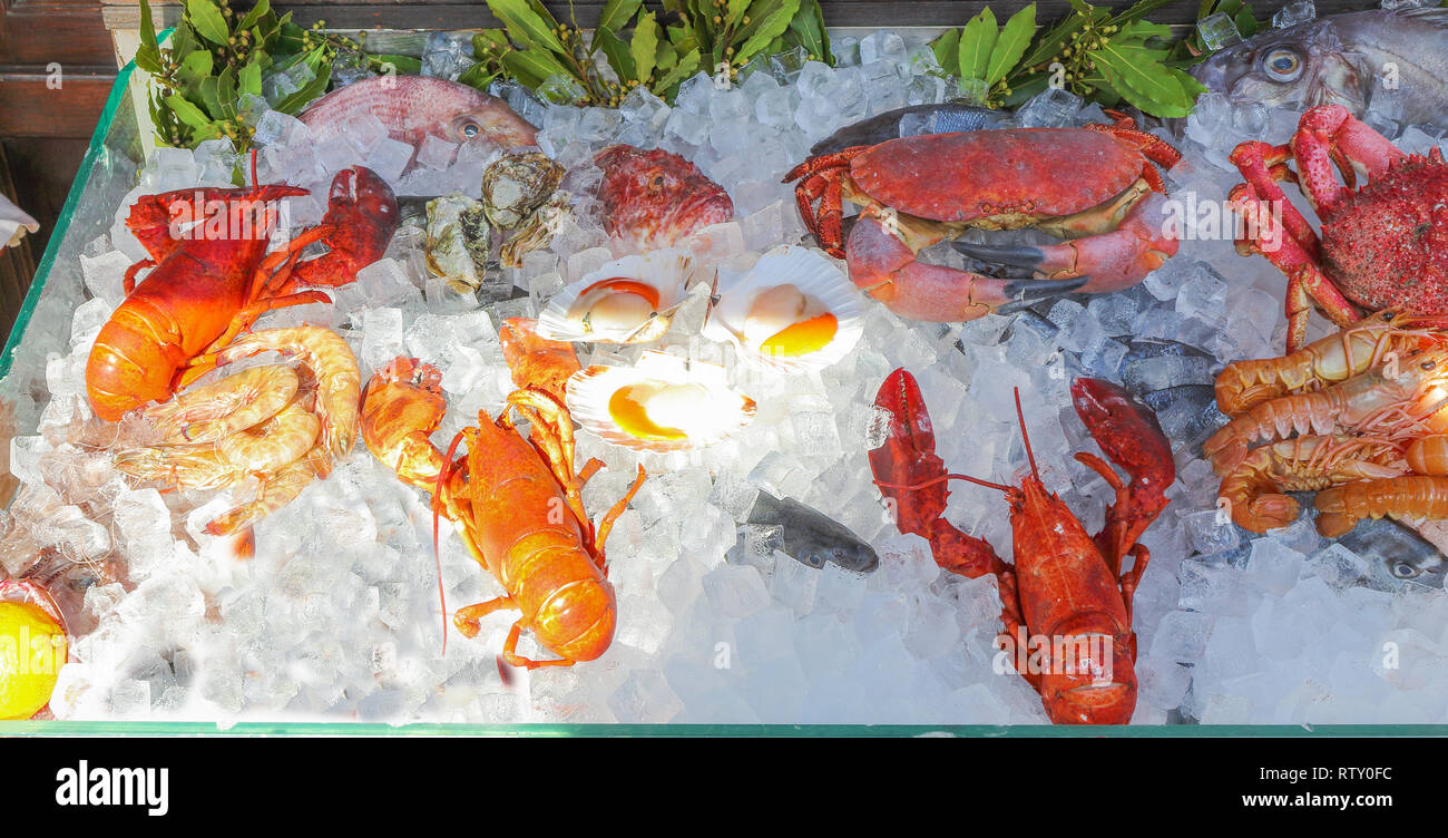 seafood on the ice, Fresh seafood on crushed ice Stock Photo - Alamy