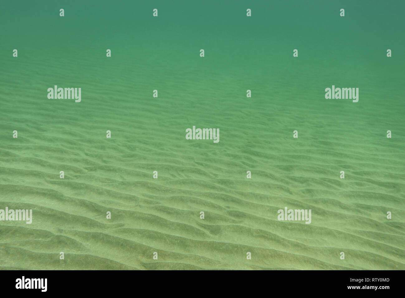 Underwater photo - almost flat sea bottom, only small sand "dunes ...