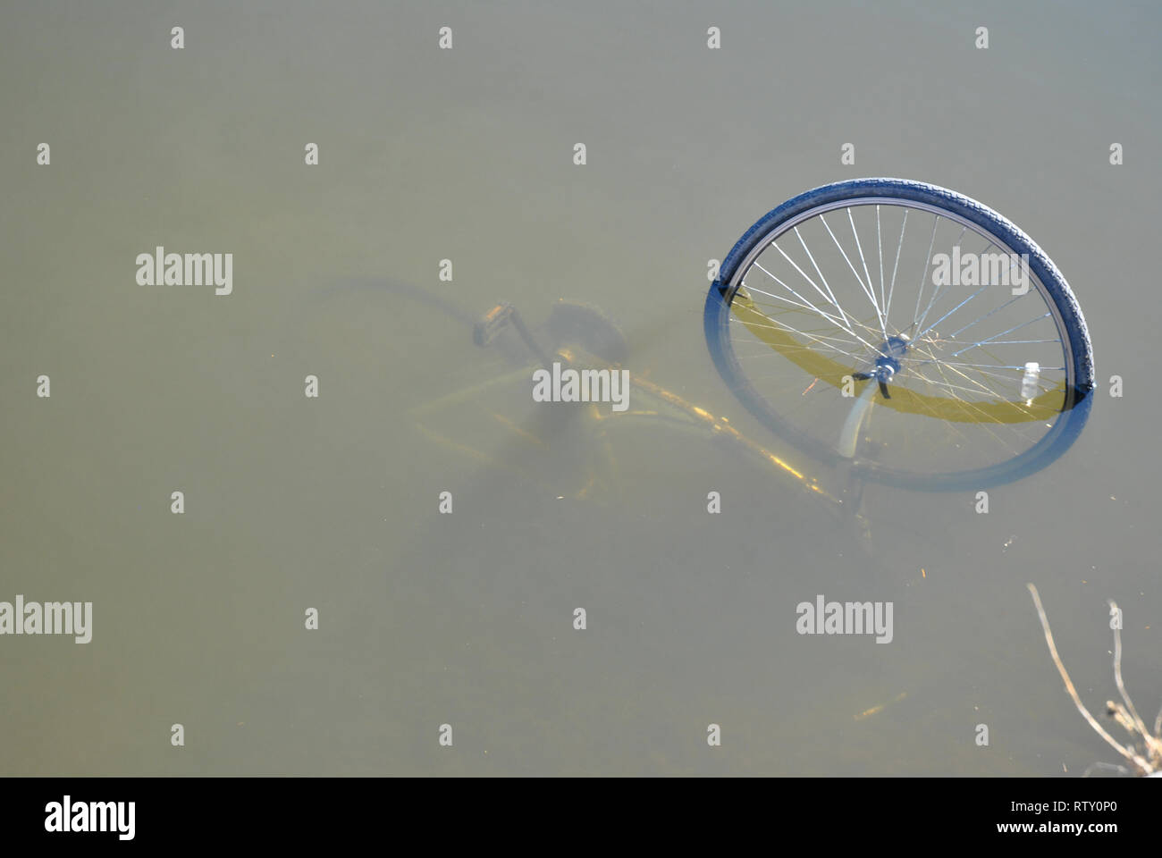 A bicycle dumped in a river Stock Photo - Alamy