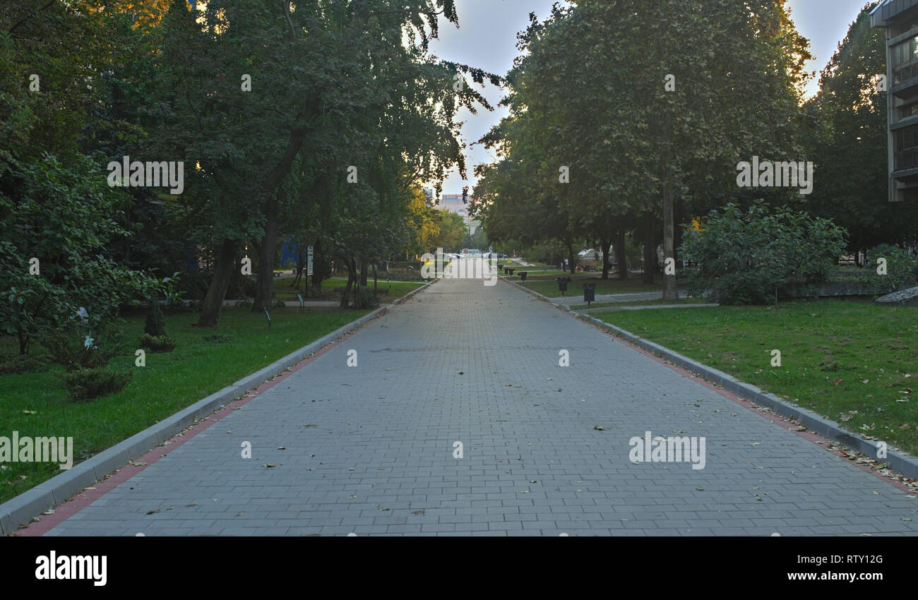 Trees on both sides of the street hi-res stock photography and images ...