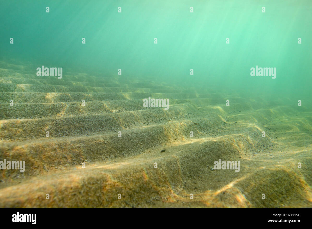 Underwater photo, small sand "dunes" shot diagonally so in this ...