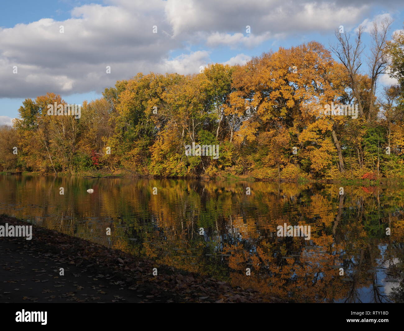 Landscape of shore and colorful trees and river with water reflection ...