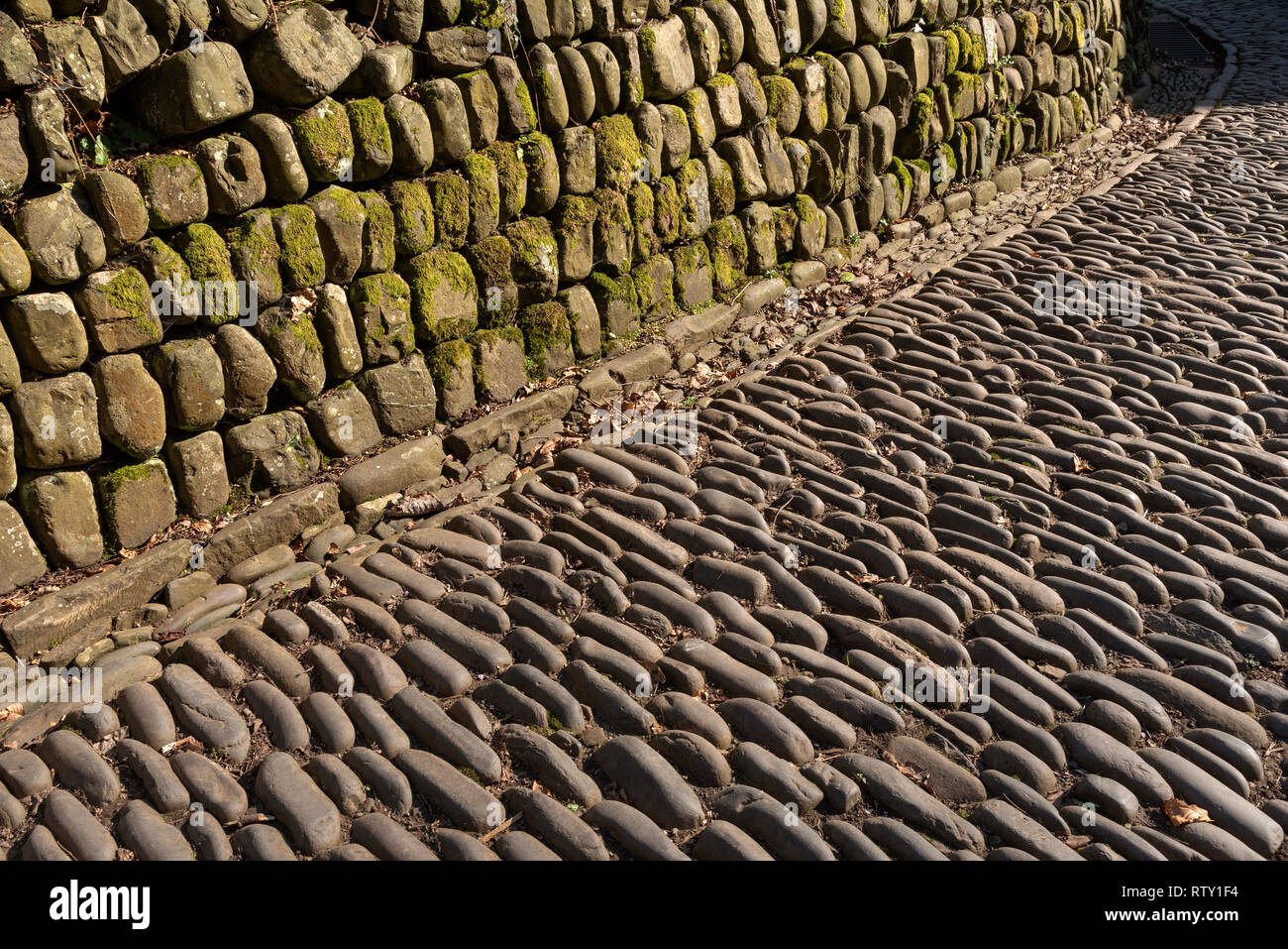Devon, England, UK. February 2019. Cobblestone street in sunlight with ...