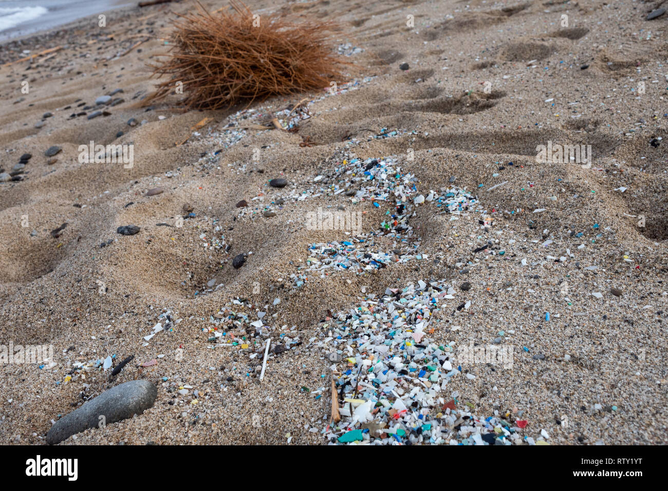 Microplastics and fish hi-res stock photography and images - Alamy