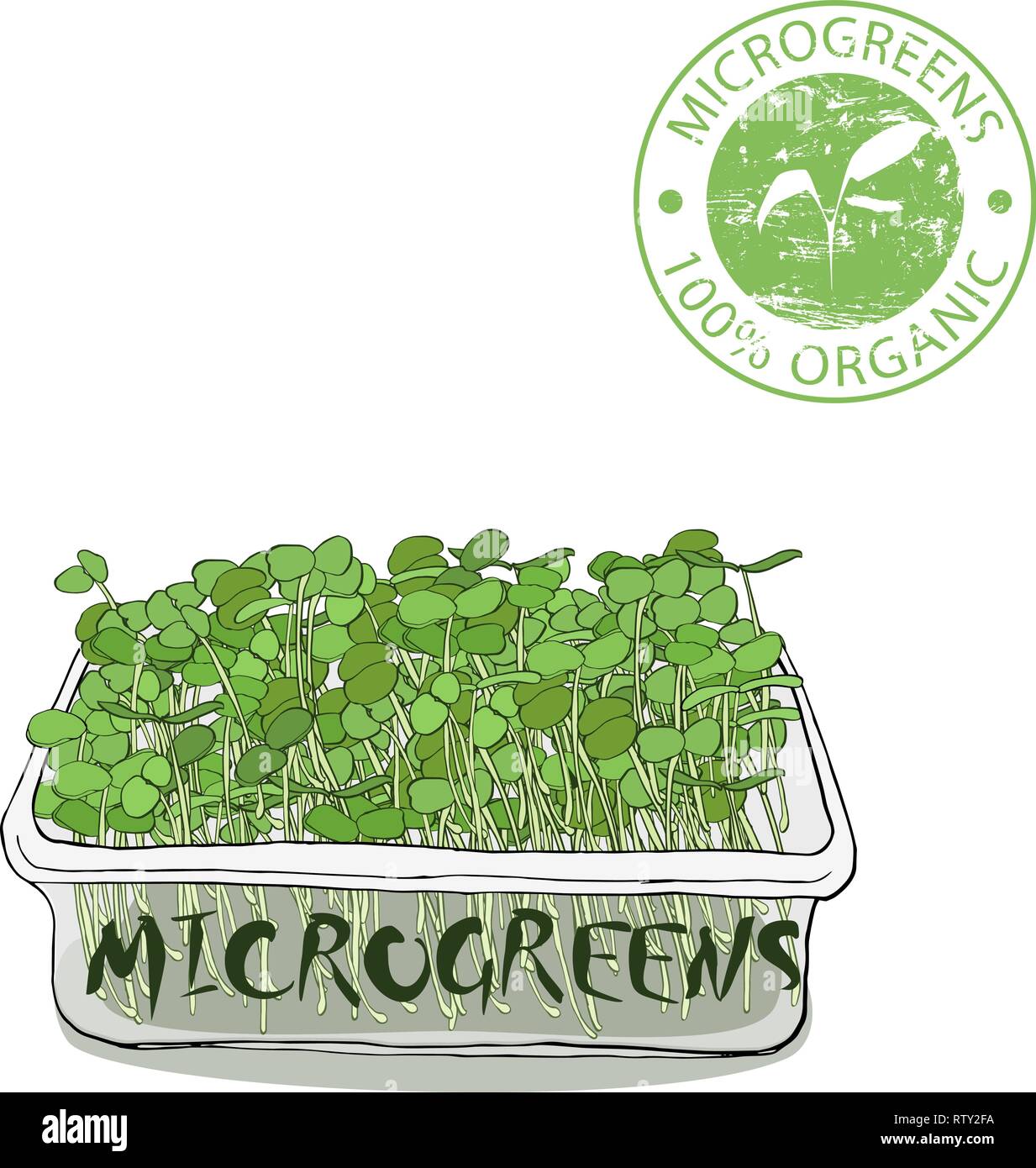 Fresh young sprouts various plants, a microgreen sandwich. Microgreen ...