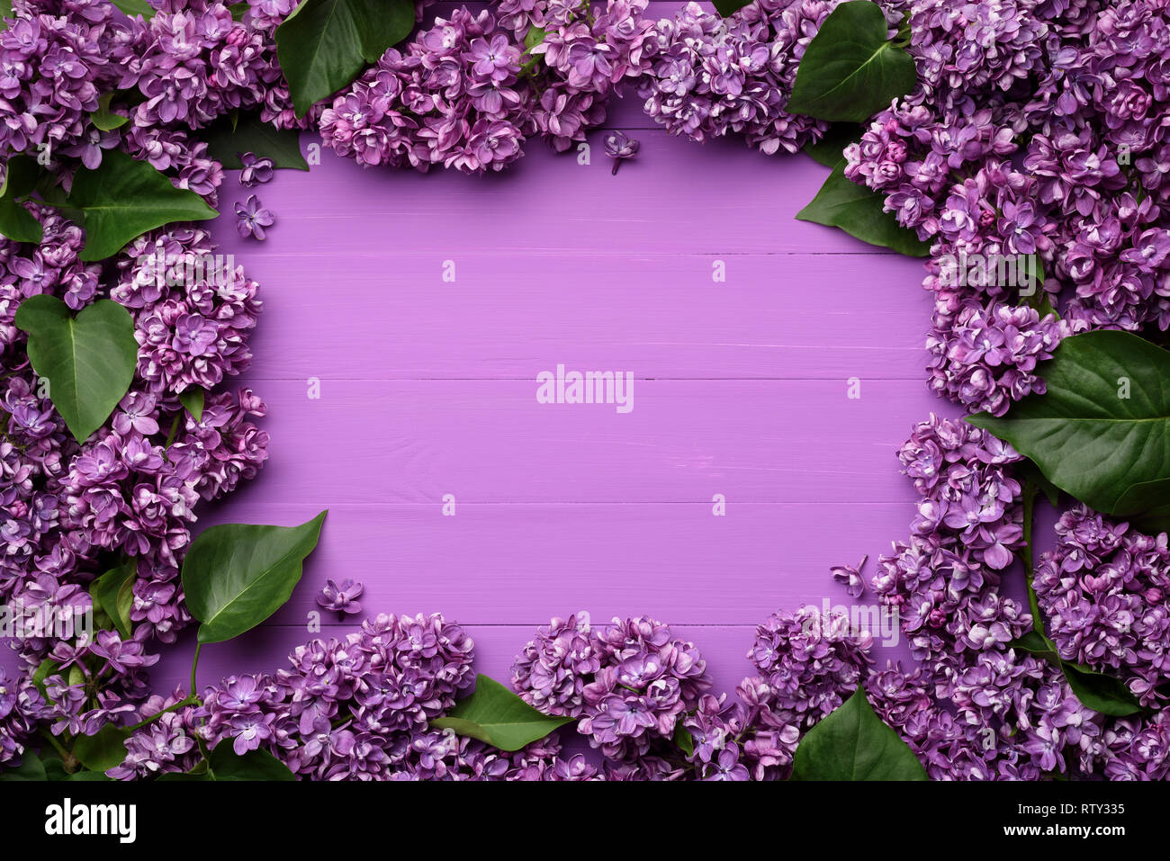 Floral lilac frame for design. Spring card with space for greeting or ...