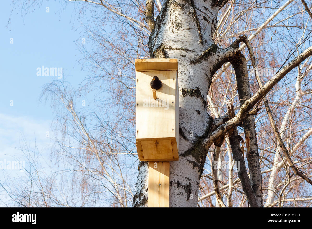 Starling box hi-res stock photography and images - Alamy