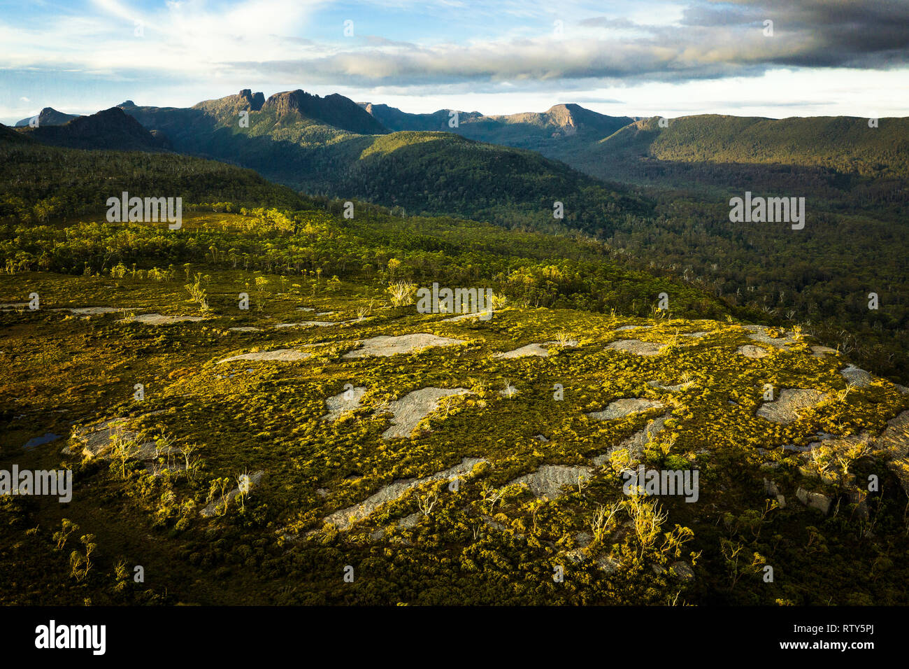 View to Mount Geryon and the Acropolis from Gould Plateau in Cradle ...