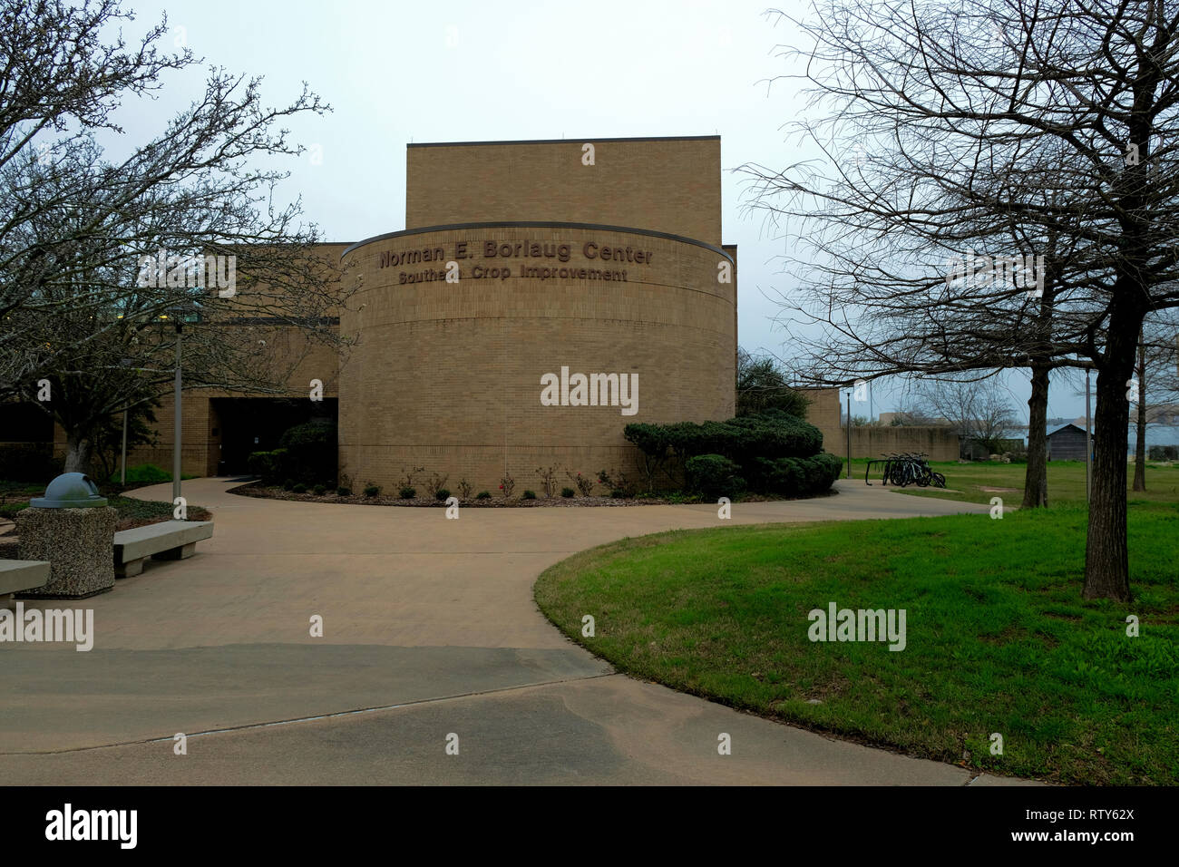 Borlaug center for southern crop improvement hi-res stock photography ...