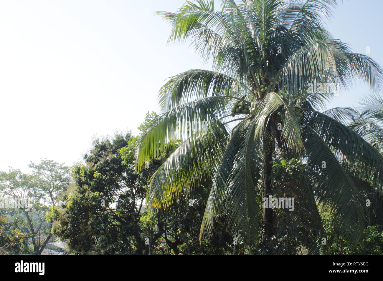 Nice scenery hi-res stock photography and images - Alamy