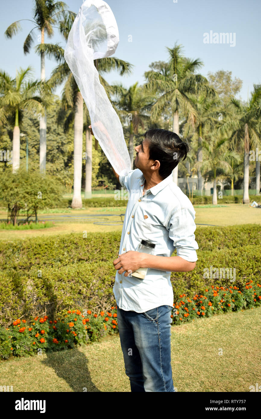 Young man entomologist collecting insects using an insect net or ...