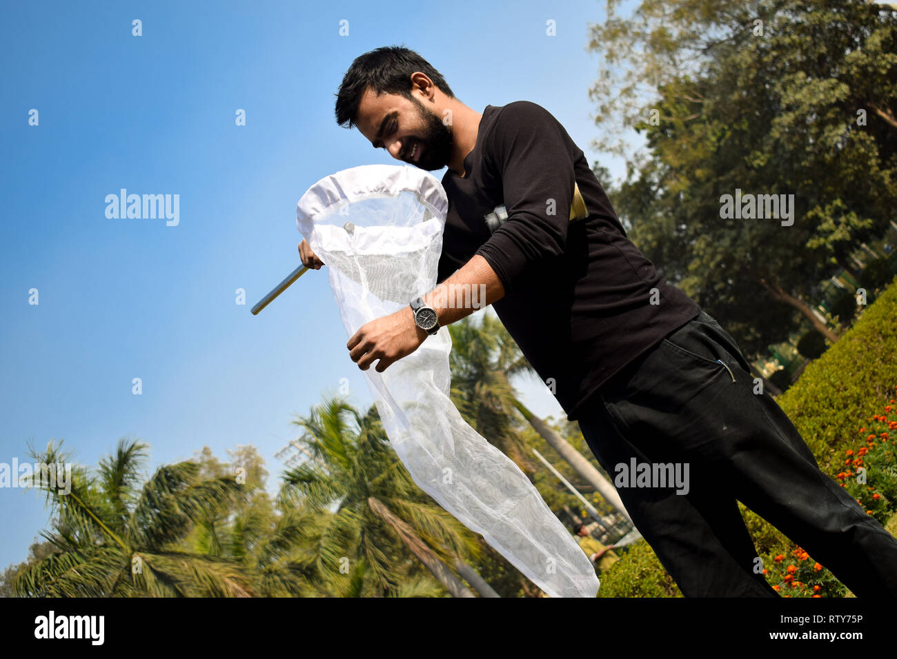 Young man entomologist collecting insects using an insect net or ...