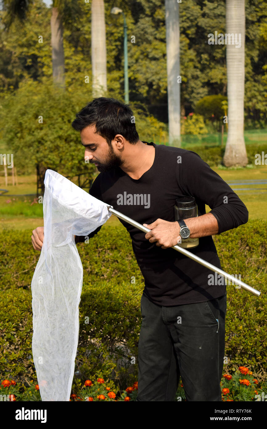 Young man entomologist collecting insects using an insect net or ...