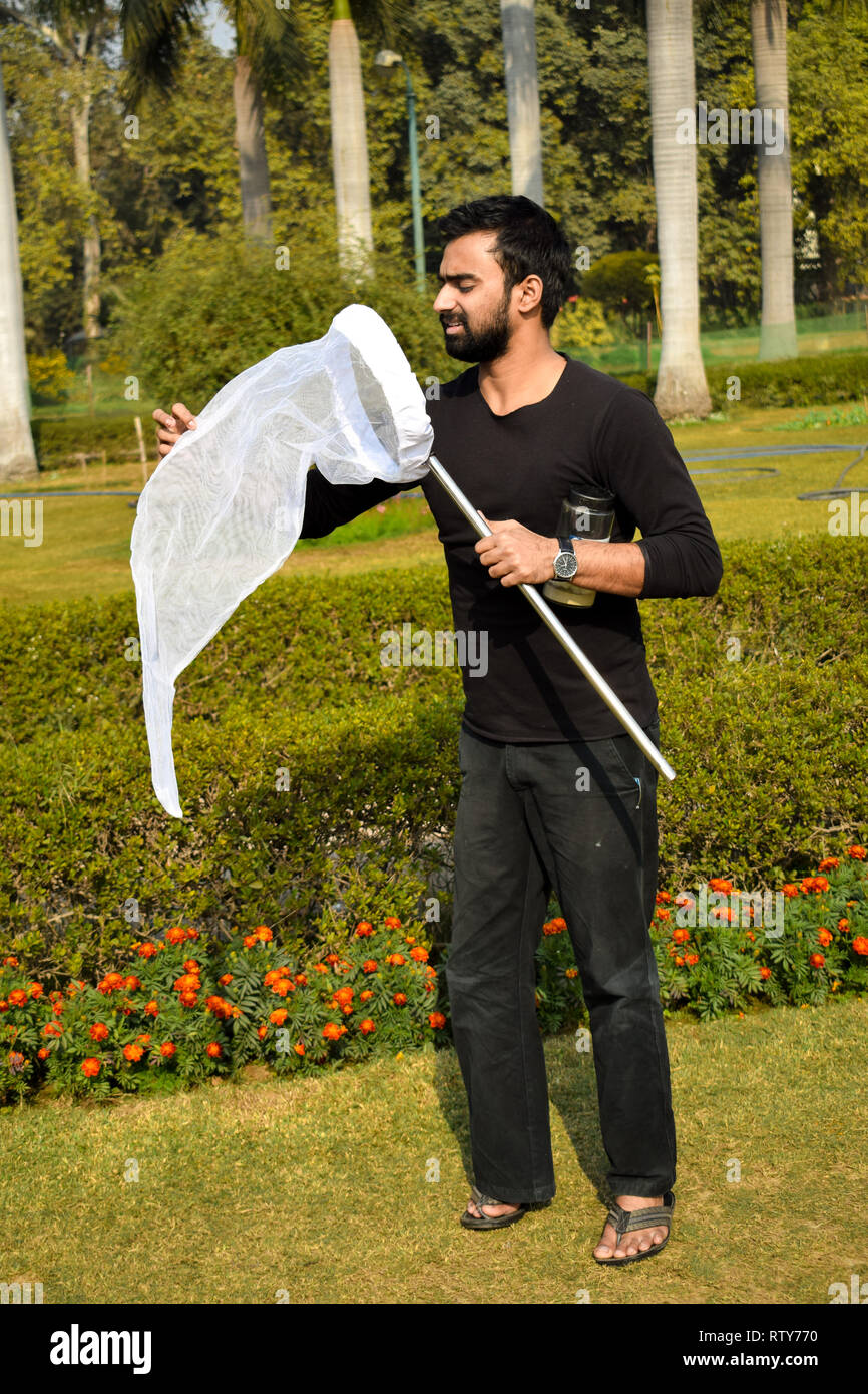 Young man entomologist collecting insects using an insect net or ...