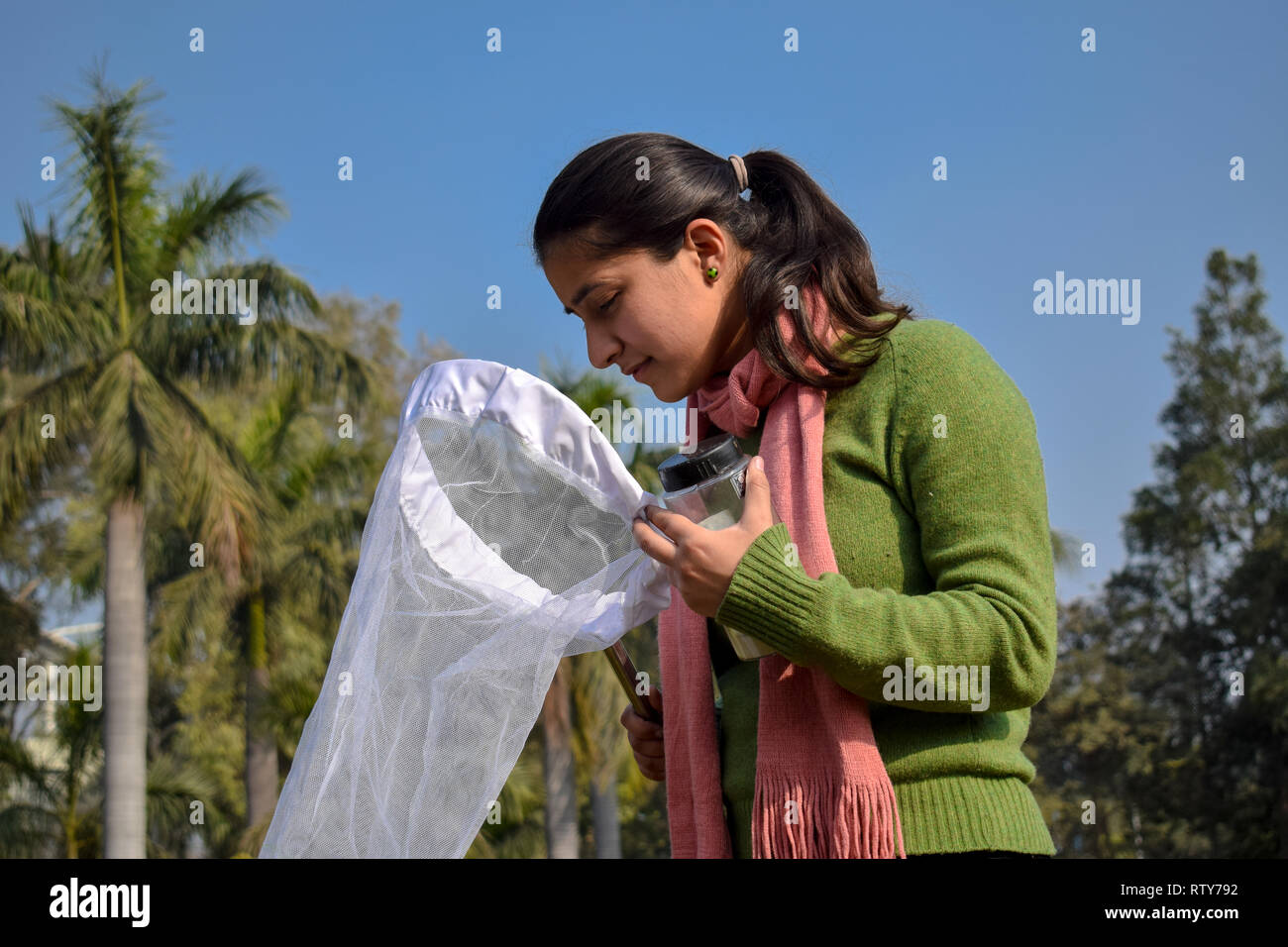 Young woman entomologist collecting insects using an insect net or ...