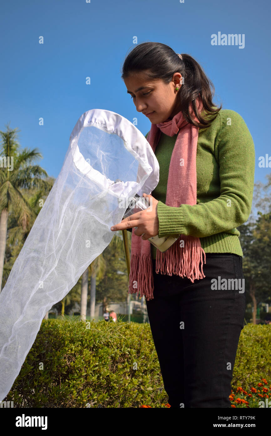 Young woman entomologist collecting insects using an insect net or ...