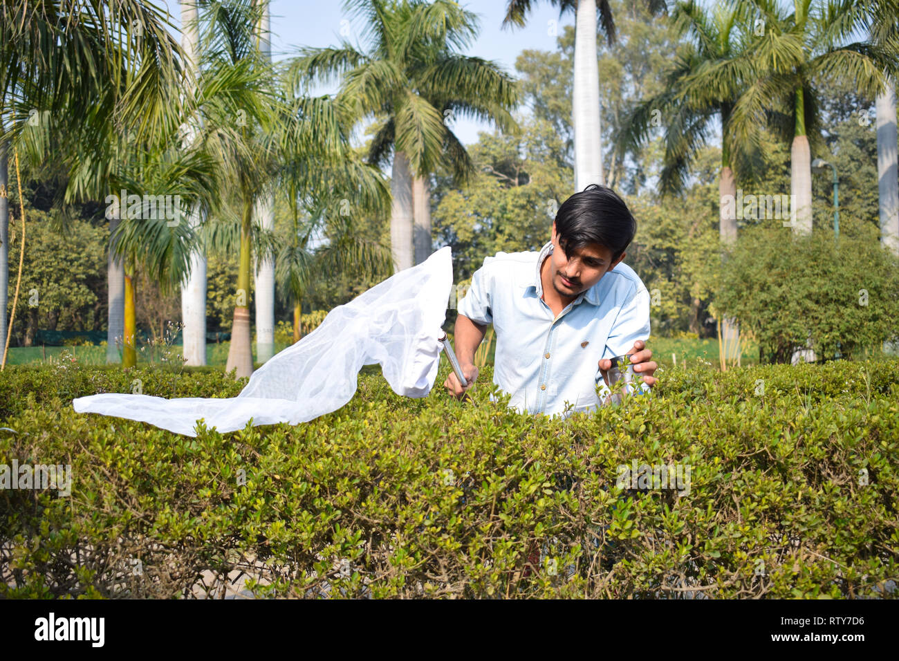 Entomology specimens hi-res stock photography and images - Alamy