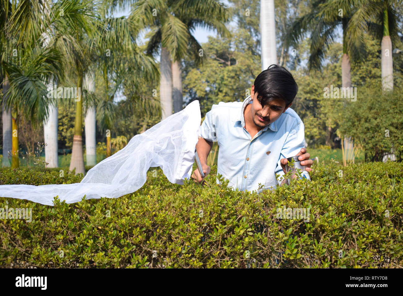 Scientist entomologist net aspirator collecting hi-res stock ...