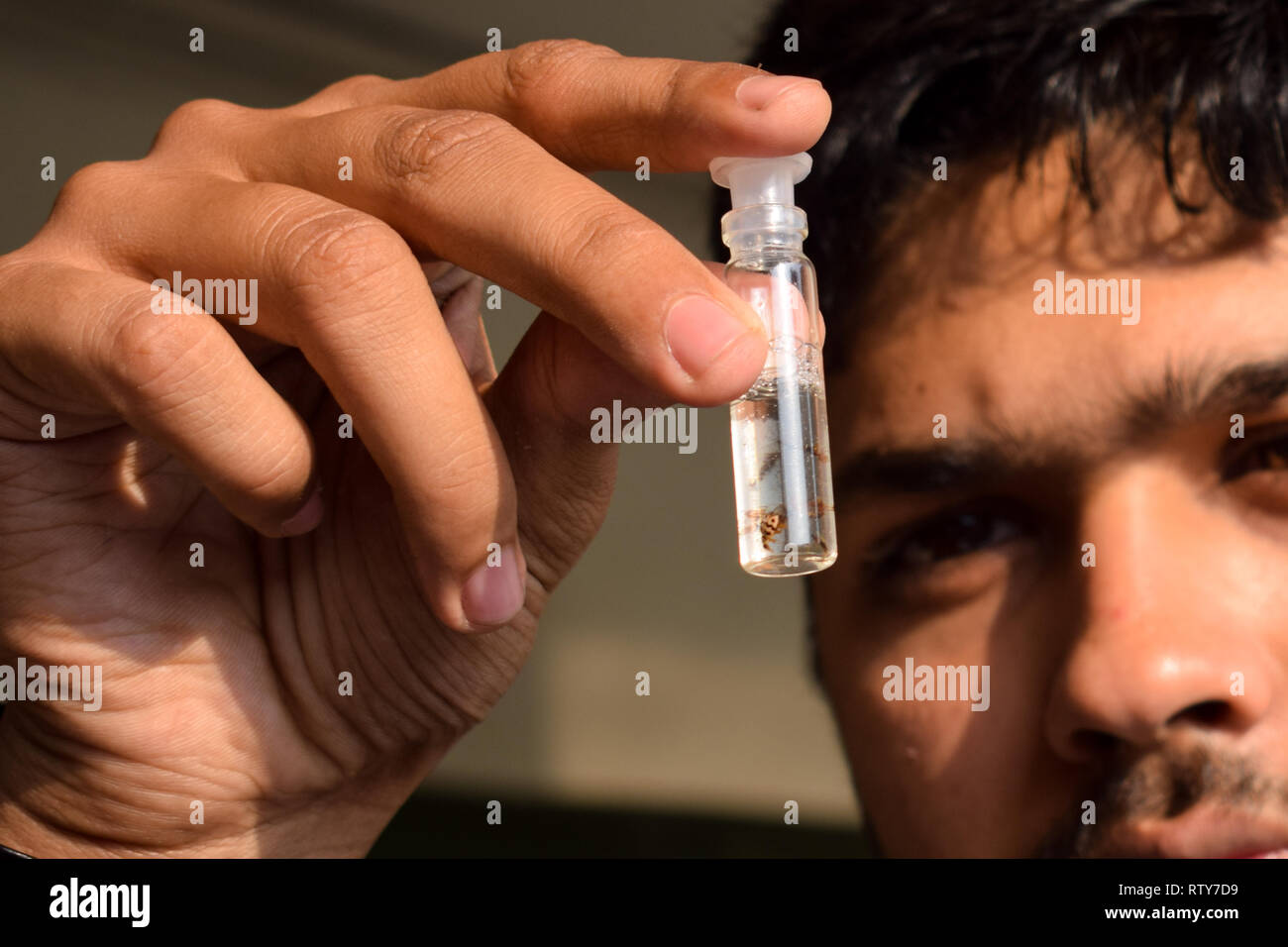 Young man entomologist observing insects in glass vile and trying to ...
