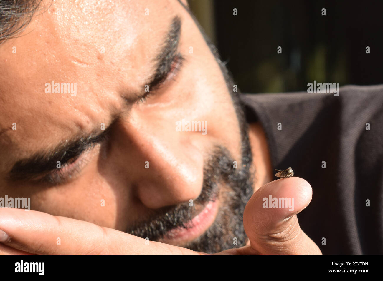 Scientist identifying insects hi-res stock photography and images - Alamy