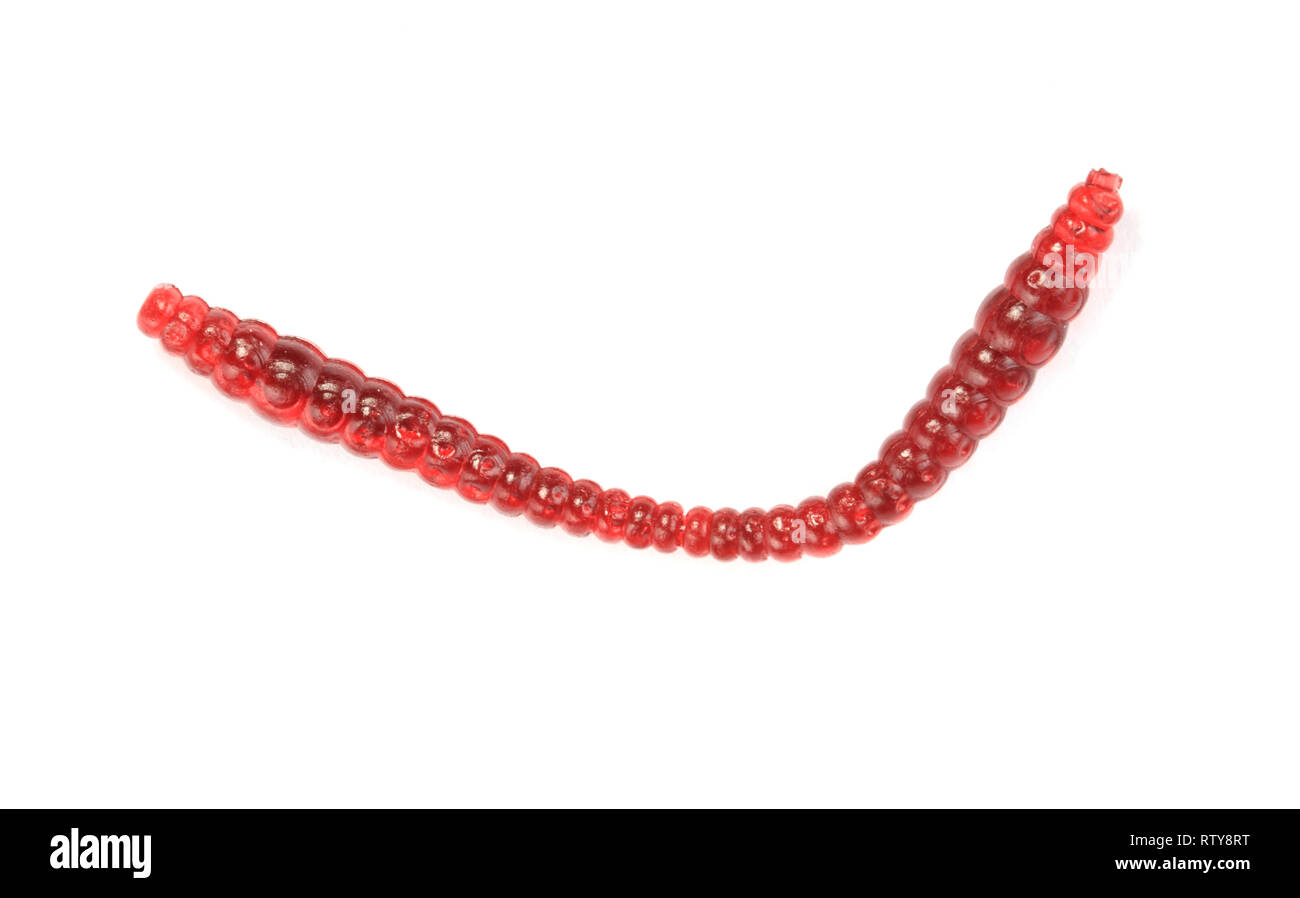 Soft Plastic EarthWorm toy Stock Photo - Alamy