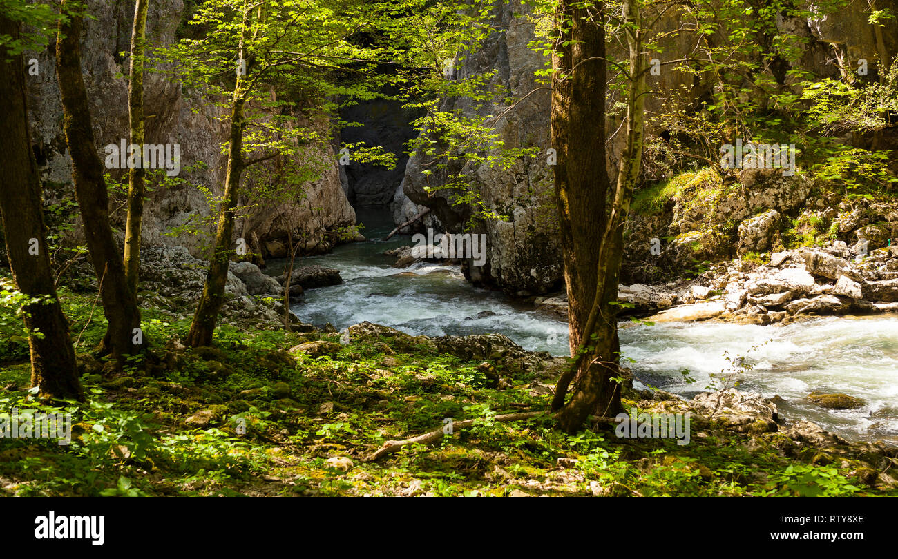 Timavo river slovenia hi-res stock photography and images - Alamy