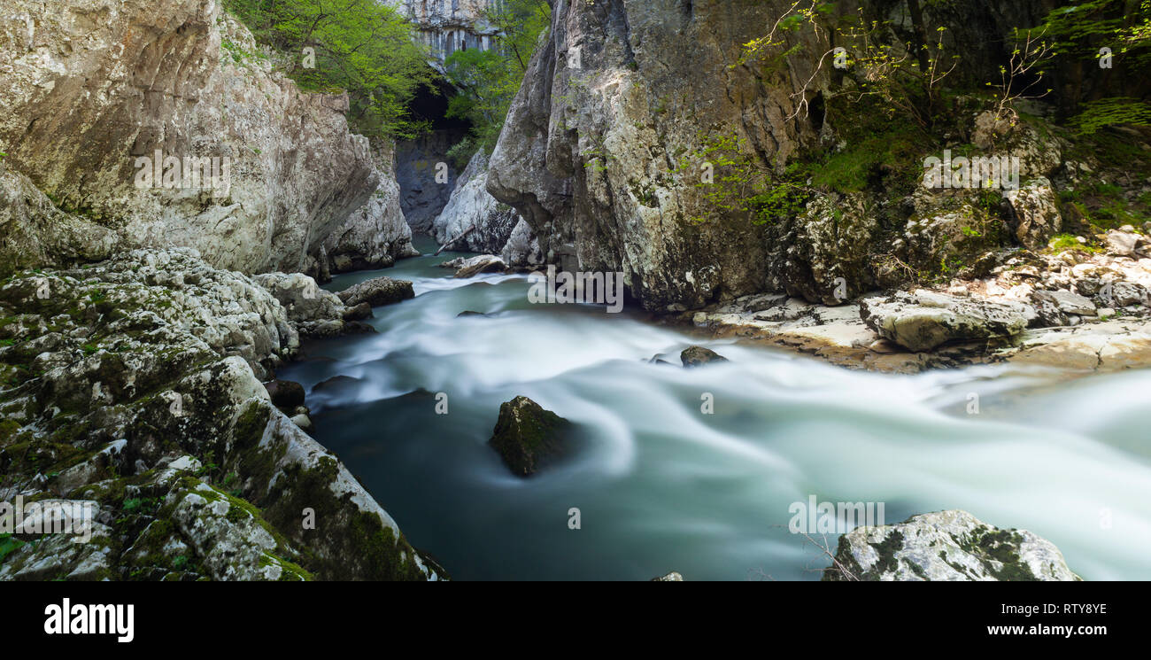 View of Timavo river in the spring season, Slovenia Stock Photo - Alamy