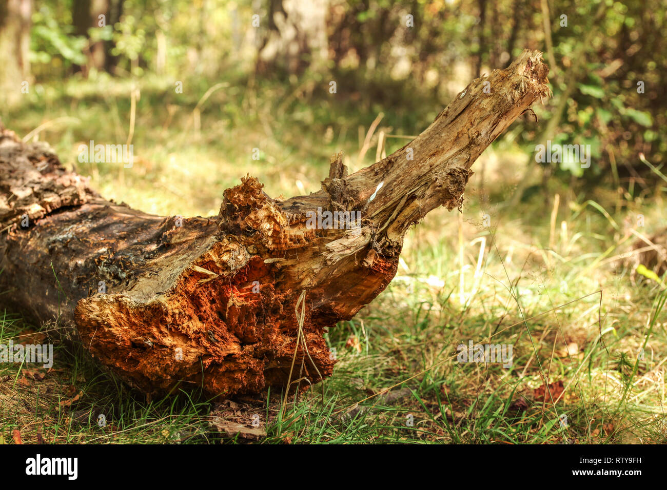 Low laying landscape hi-res stock photography and images - Alamy