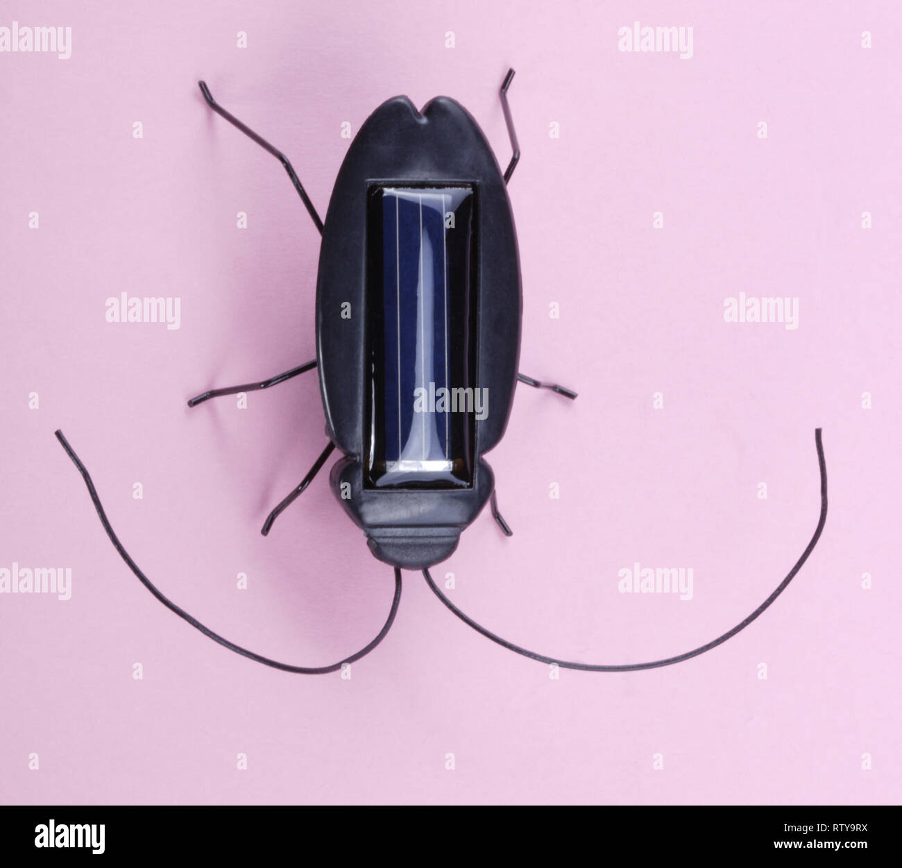 Electronic Bug Toy on Pink Background Stock Photo - Alamy
