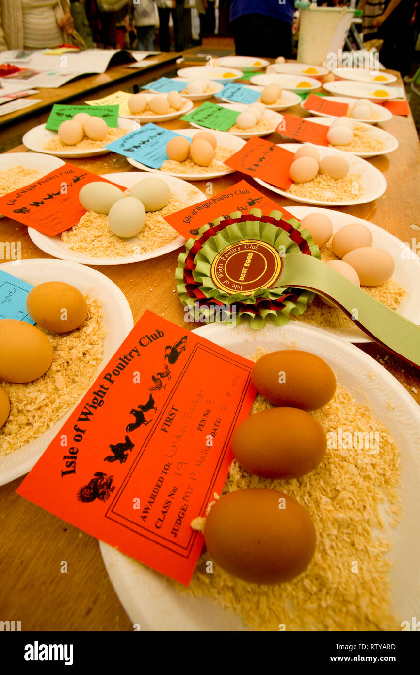 chicken,eggs,at,agricultural,show, judging, plates, competition ...