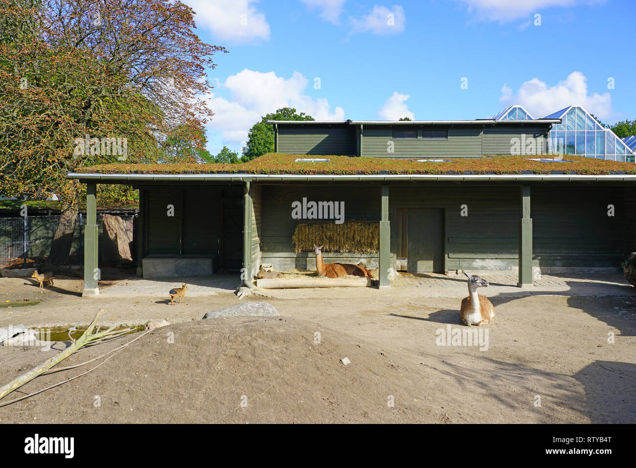 COPENHAGEN, DENMARK -24 SEP 2018- View of the Copenhagen Zoo, located ...