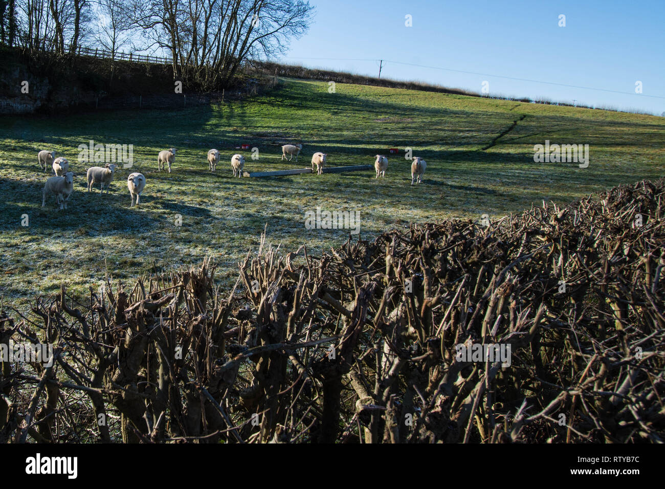 Upper harlestone hi-res stock photography and images - Alamy