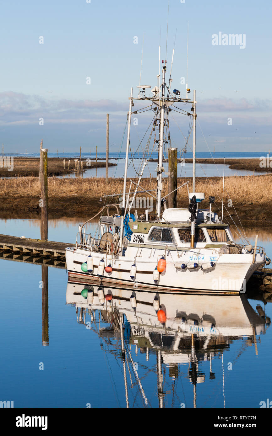 Commercial fish pond hi-res stock photography and images - Alamy