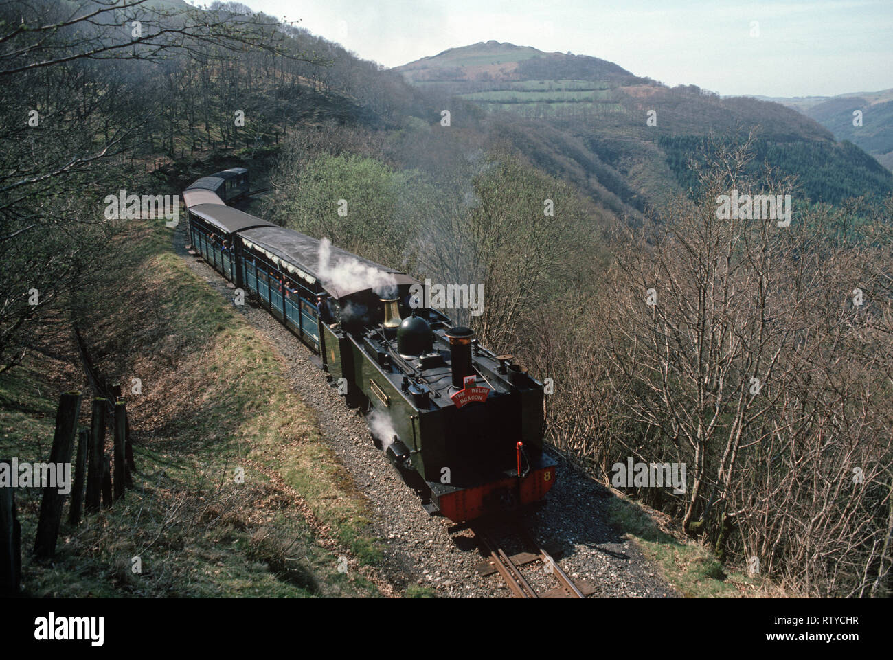 Steam locomotive on the Vale of Rheidol line, British Rail last ...