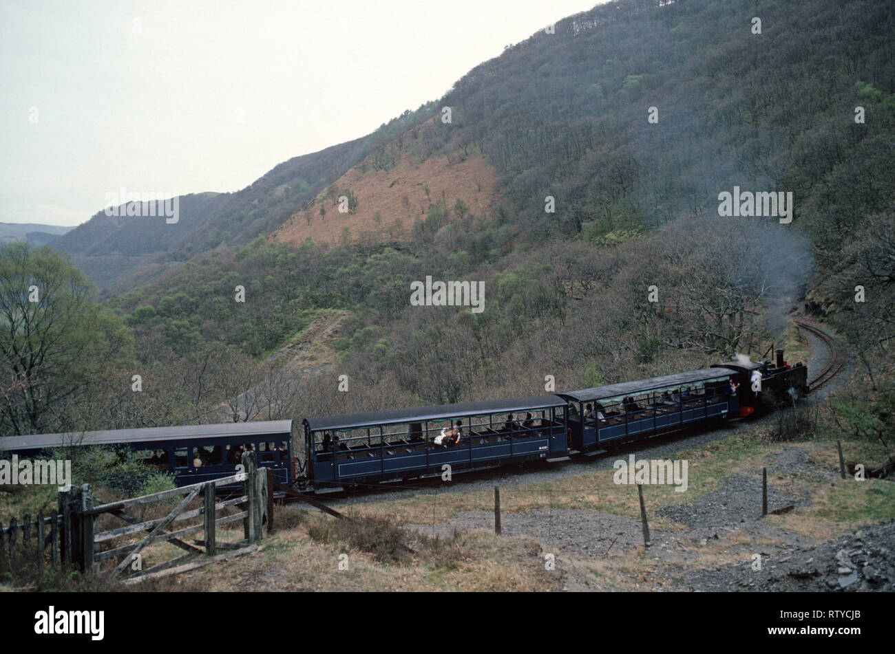 Steam locomotive on the Vale of Rheidol line, British Rail last ...