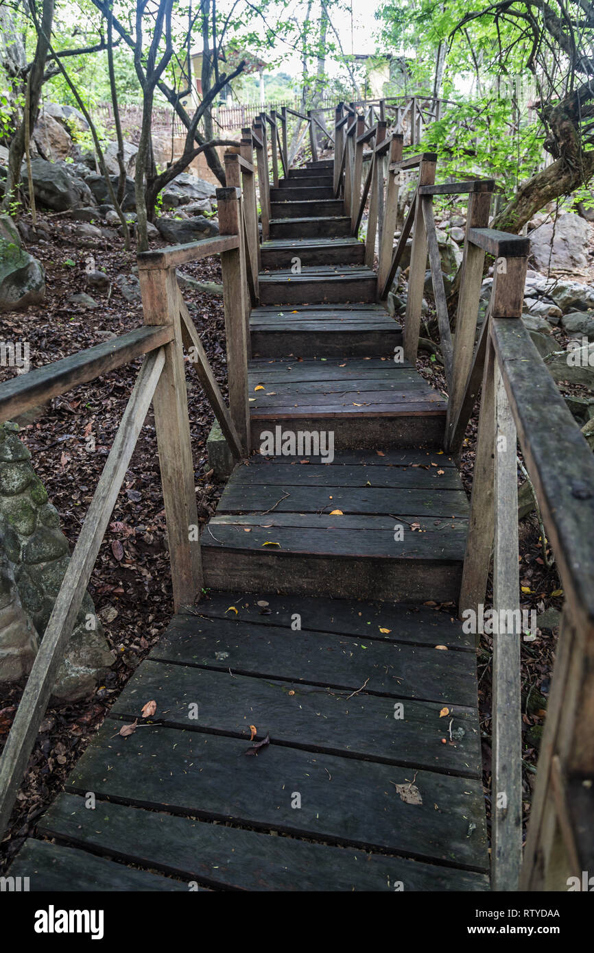 Path of rustic wood through the petrified forest of Puyango Stock Photo ...