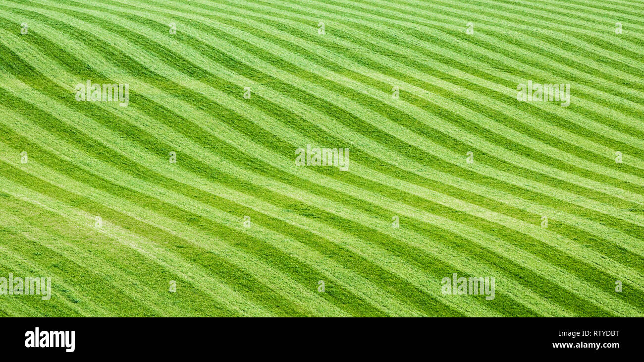 Rolling green fields in UK countryside Stock Photo - Alamy