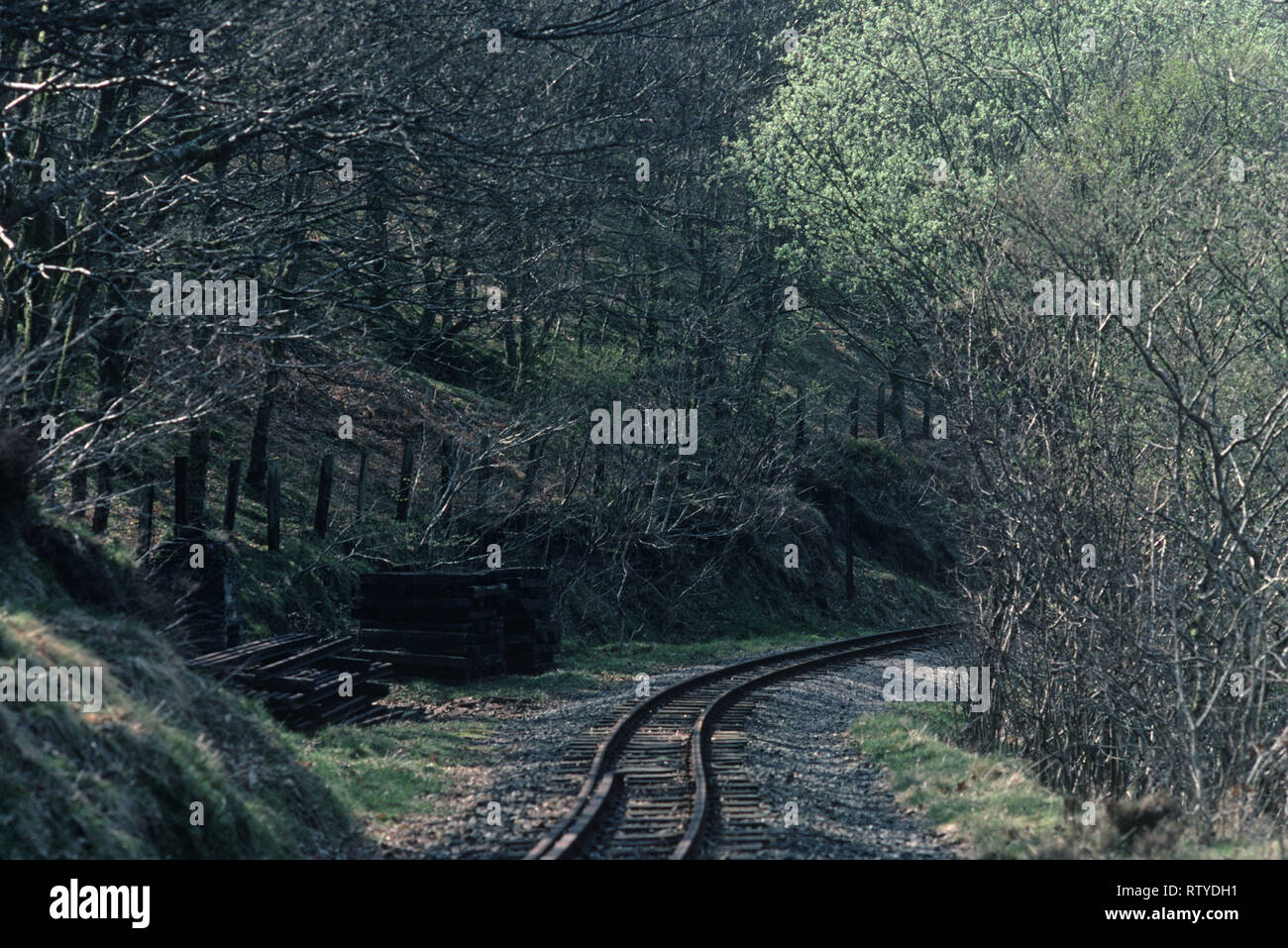 Railway tracks on the Vale of Rheidol line, British Rail last operating ...