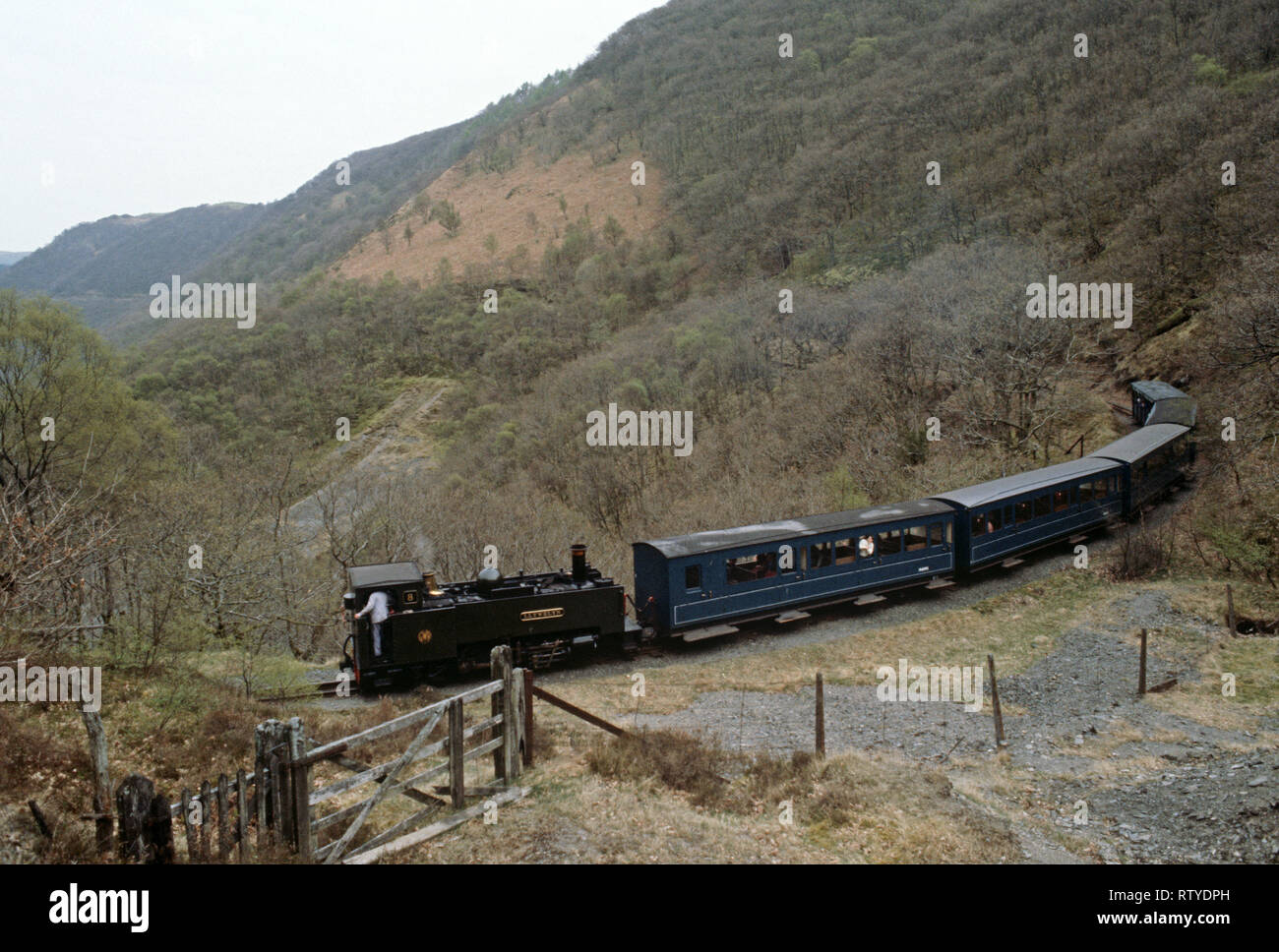 Steam locomotive on the Vale of Rheidol line, British Rail last ...