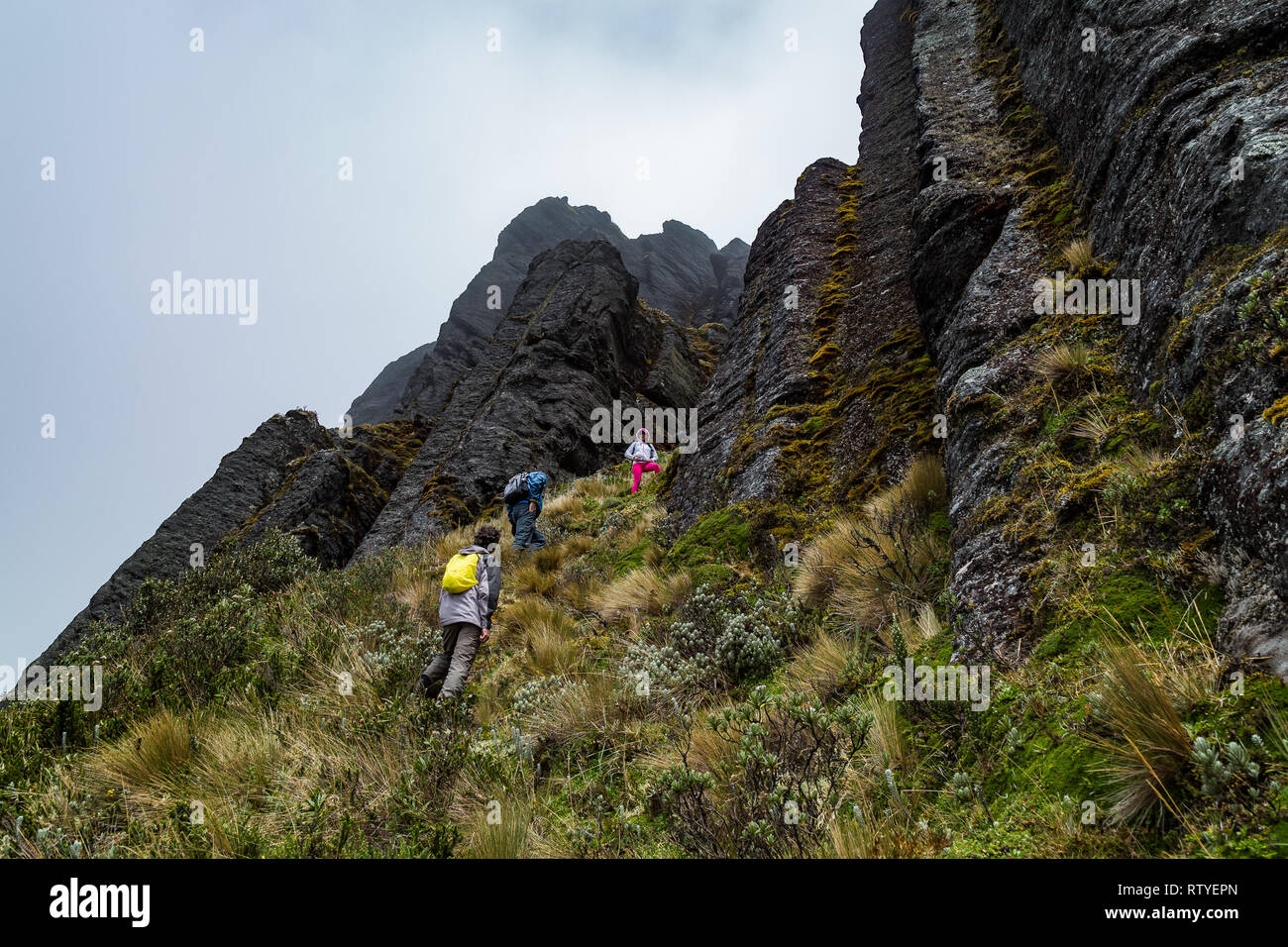 Papallacta, Ecuador, July 2018: A group of mountaineers take a break ...