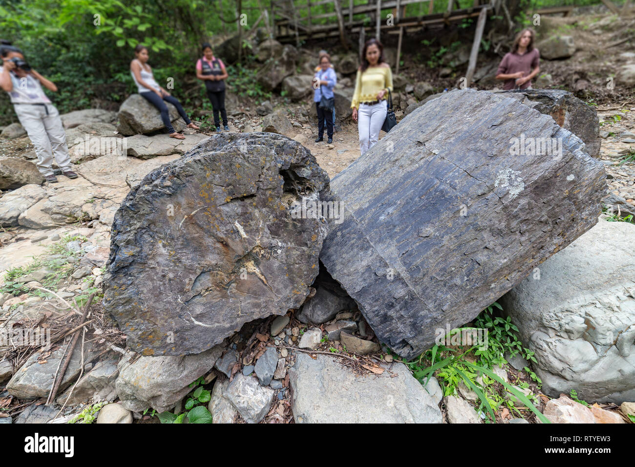 Puyango, Loja, Ecuador, January 1, 2019: Tourists from around the world ...