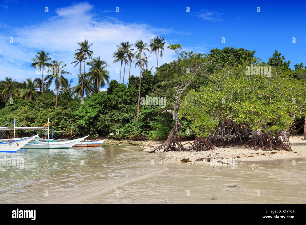 Natural landscape in Palawan island, Philippines. Snake Island Stock ...