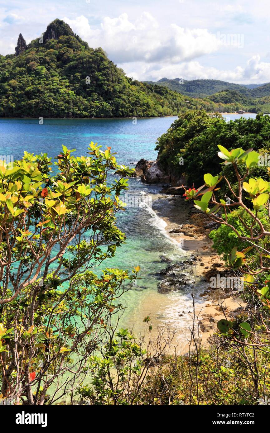 Natural landscape in Palawan island, Philippines. Snake Island Stock ...