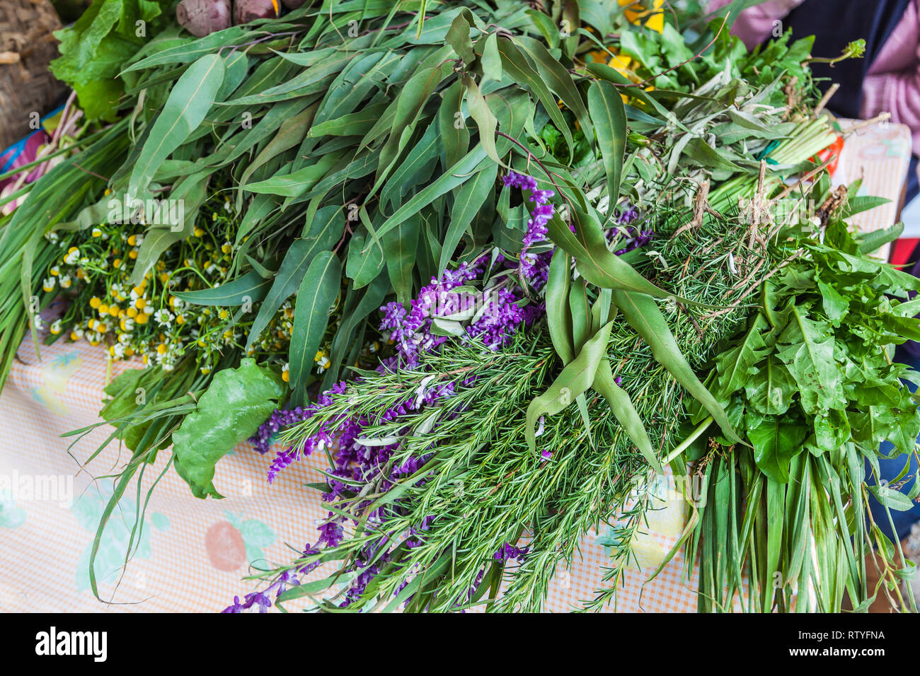 Organic fair hi-res stock photography and images - Alamy