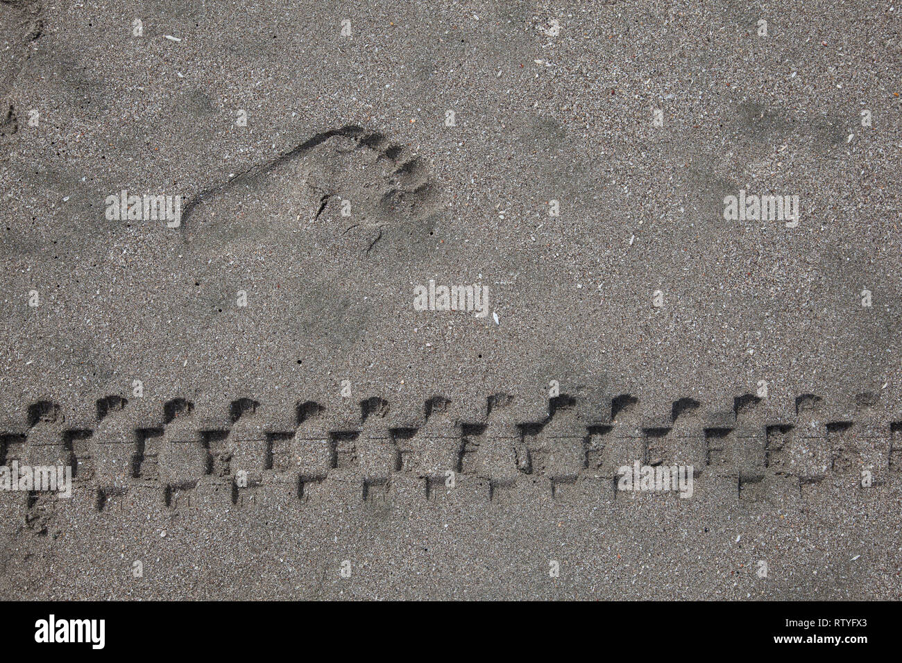 Man's footprint and rim footprint, marks in the sand Stock Photo - Alamy